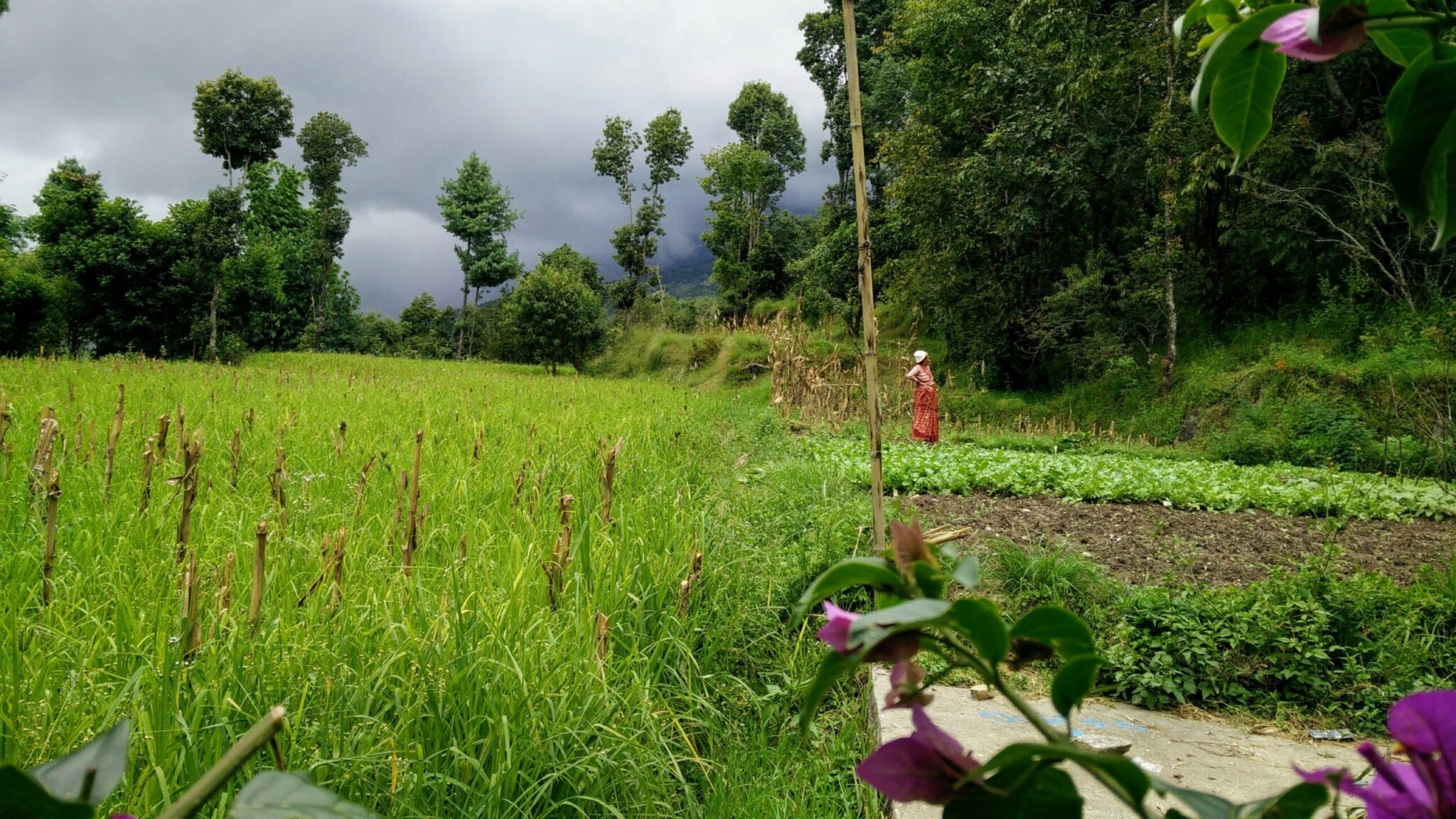 Samundra VZW – Supporting life in the Nepalese mountains